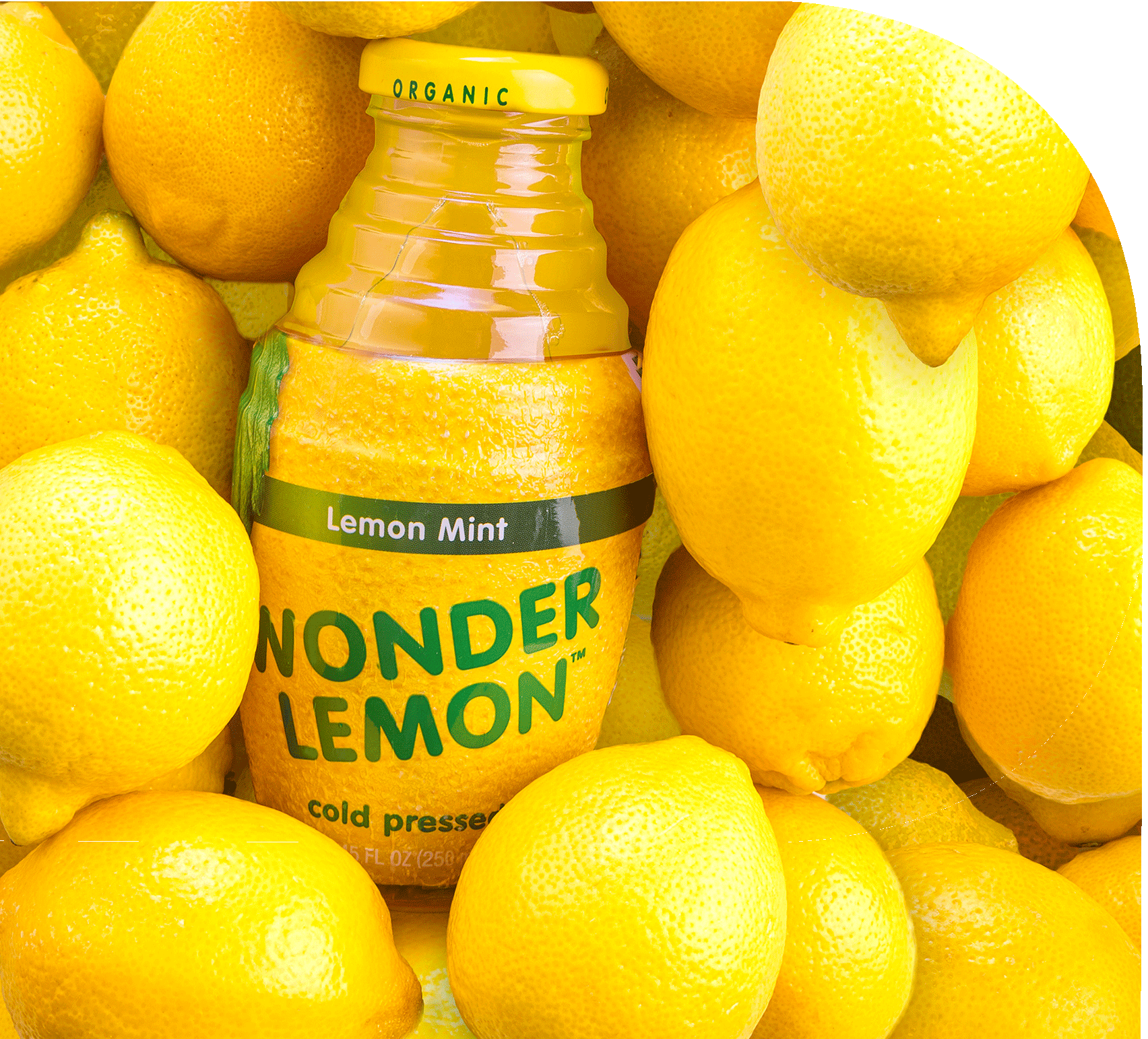 Wonder Juice - 100% Organic Cold-Pressed Juices